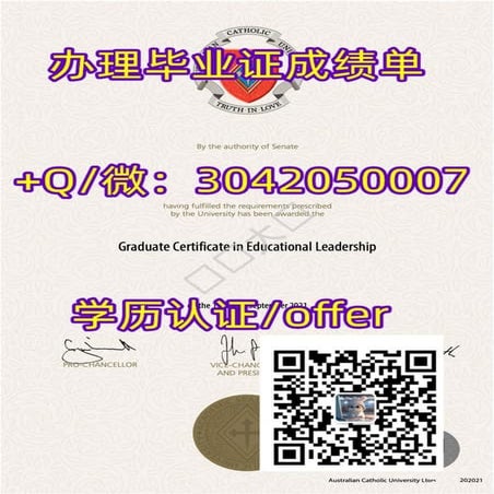 24天主教大学.pdf