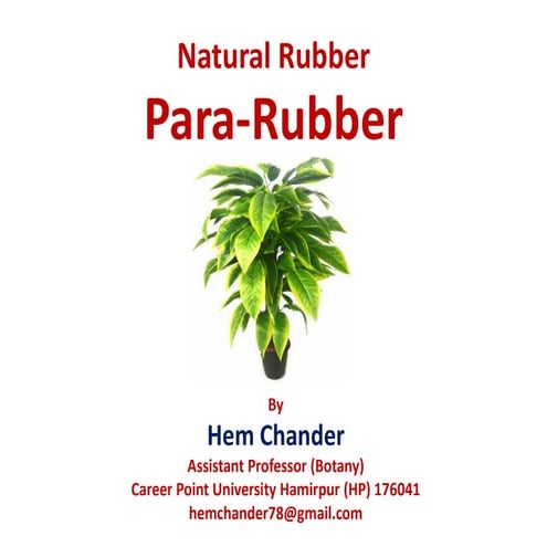 24. Para-Rubber.pdf