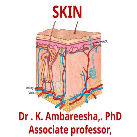 SKIN CIRCULATION FROM DR K AMBAREESHA,. PHD | PPSX