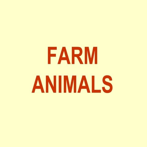 24 farm animals | PPT