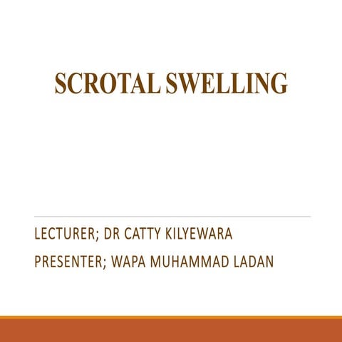 24-Scrotal_Swelling.pptx | Reproductive Health | Diseases and Conditions
