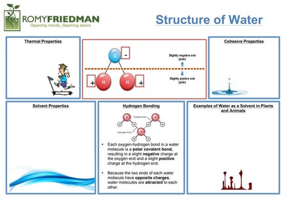 Summary of Biomolecules | PPT