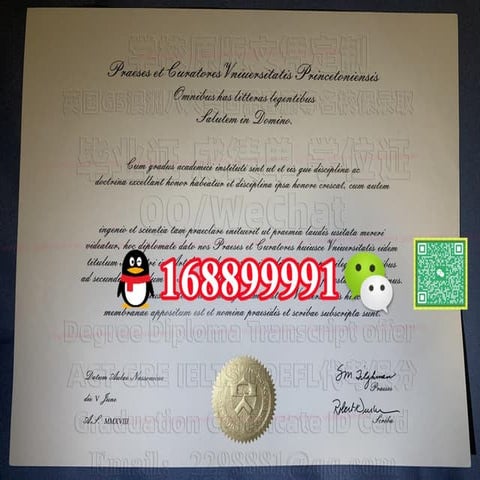 Princeton University degree offer diploma Transcript | PPT