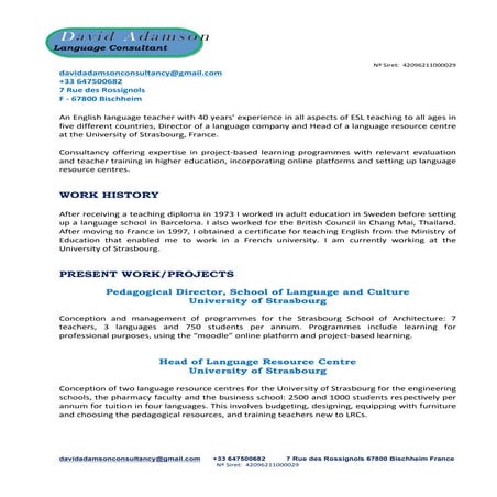 Language Consultant CV-3 | PDF
