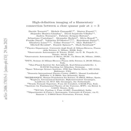 High-definition imaging of a filamentary connection between a close quasar pair at z = 3 | PDF