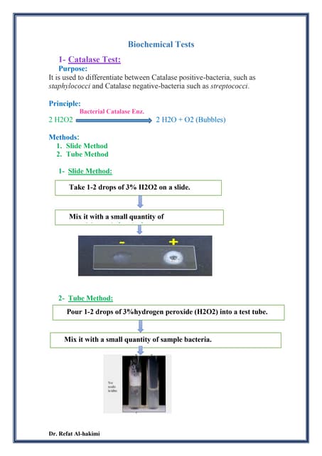 Enterobacteriaceae , Enterobacter and their Biochemical Test | DOCX