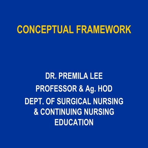 241109 Rm P L Conceptual Framework Ppt