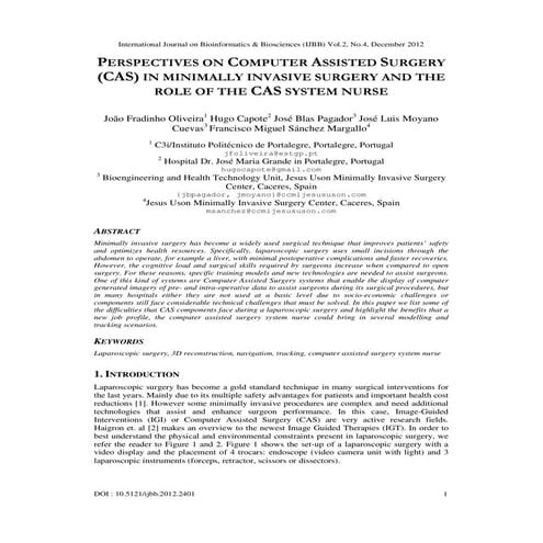 Perspectives on Computer Assisted Surgery (CAS) in minimally invasive ...