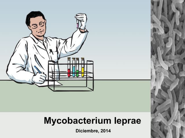 Mycobacterium tuberculosis(Microbiology) | PPTX