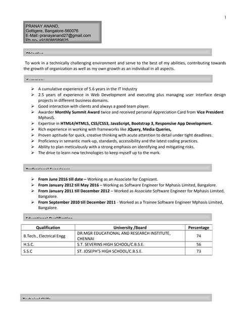 Mohsin shoukat cv | PDF