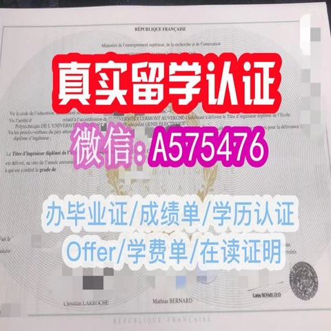 Mount Alison University degree offer diploma Transcript | PPT