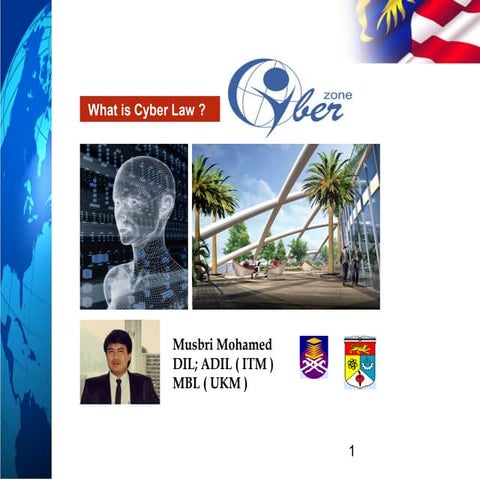 24227541 cyber-law | PPT