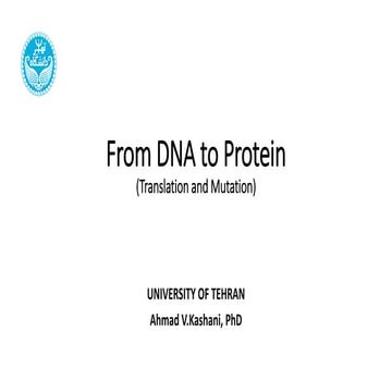 16 - From DNA To Protein - Part II | PPT
