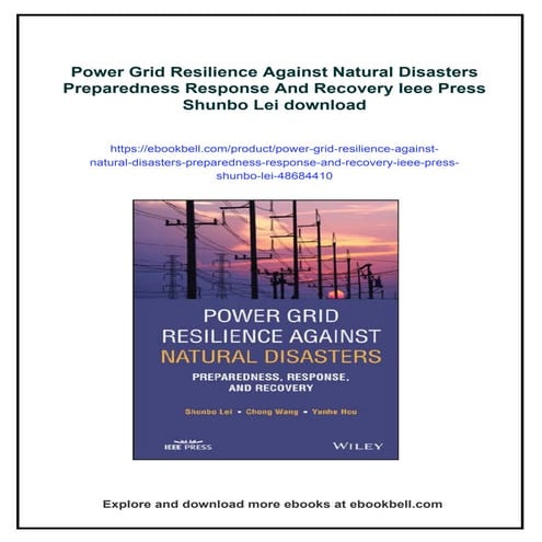 Power Grid Resilience Against Natural Disasters Preparedness Response ...