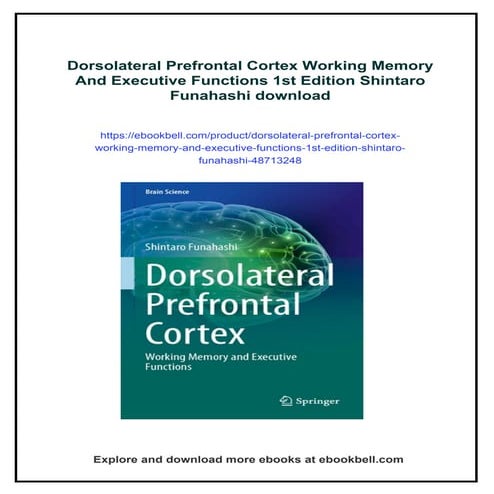 Dorsolateral Prefrontal Cortex Working Memory And Executive Functions 1st Edition Shintaro ...