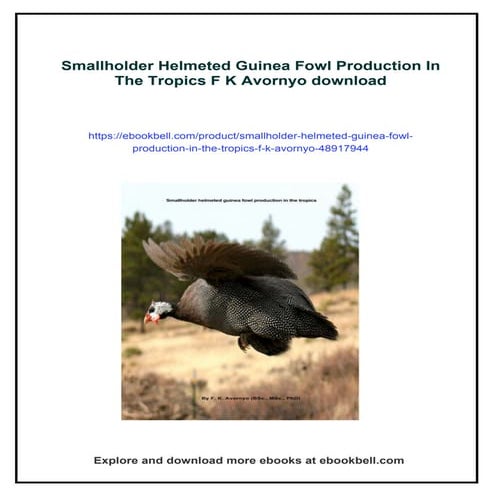 Smallholder Helmeted Guinea Fowl Production In The Tropics F K Avornyo ...
