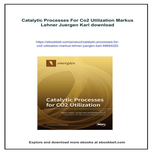 Catalytic Processes For Co2 Utilization Markus Lehner Juergen Karl | PDF