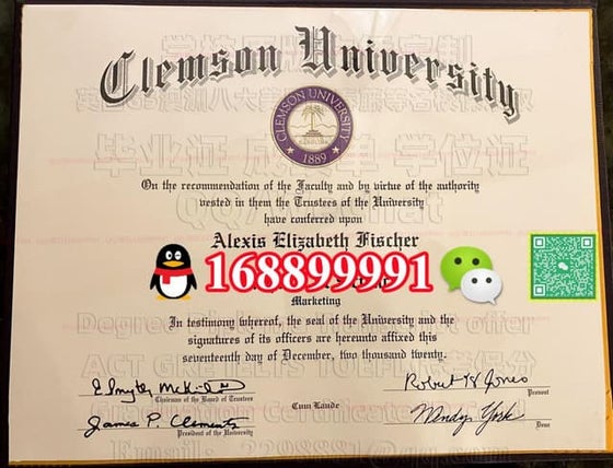 Stanford University degree offer diploma Transcript | PDF ...