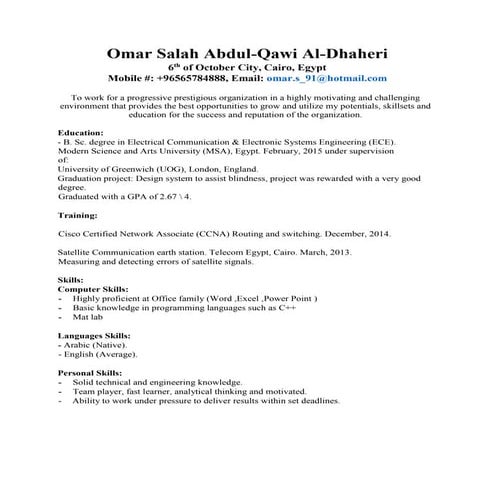 CV Omar S | PDF