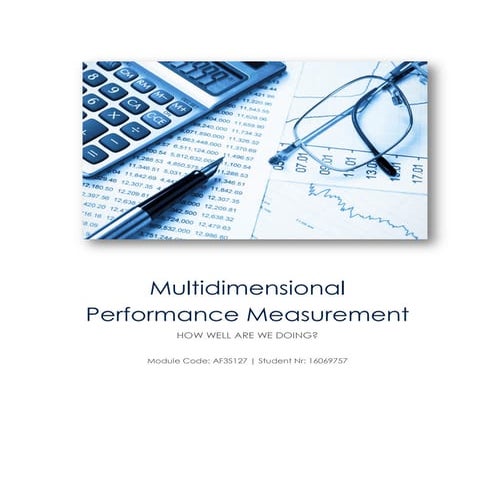Multidimensional-Performance-Measurement | PDF