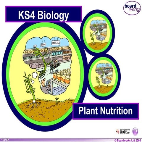 Plant nutrition and photosynthesis process in plants | PPT