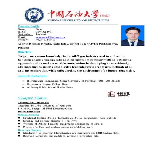 Tariq English resume final | PDF
