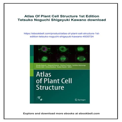 Atlas Of Plant Cell Structure 1st Edition Tetsuko Noguchi Shigeyuki ...