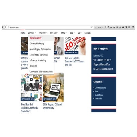 Digital Marketing Made Ridiculously Profitable | PDF