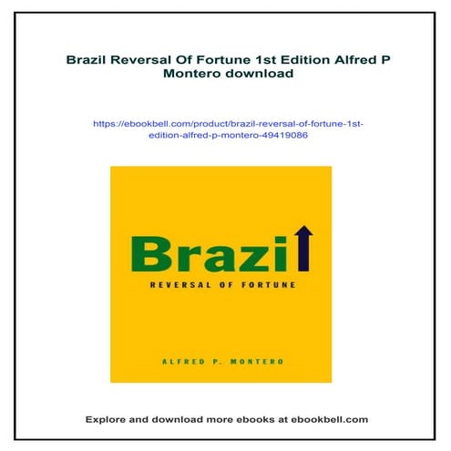 Brazil Reversal Of Fortune 1st Edition Alfred P Montero | PDF