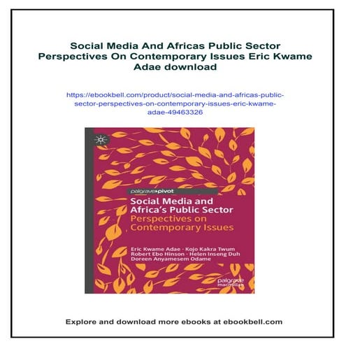 Social Media And Africas Public Sector Perspectives On Contemporary ...