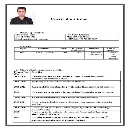 cv english 2016 | PDF