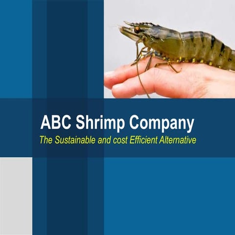 ABC Shrimp Co. ppt | PPT