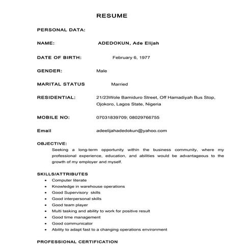 ADE WAREHOUSE CV | PDF