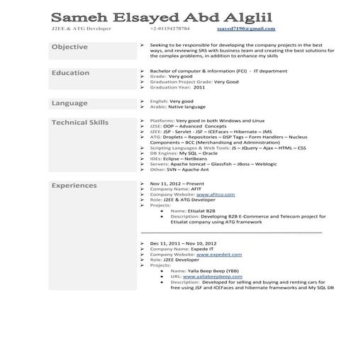 Sameh Sayed | PDF