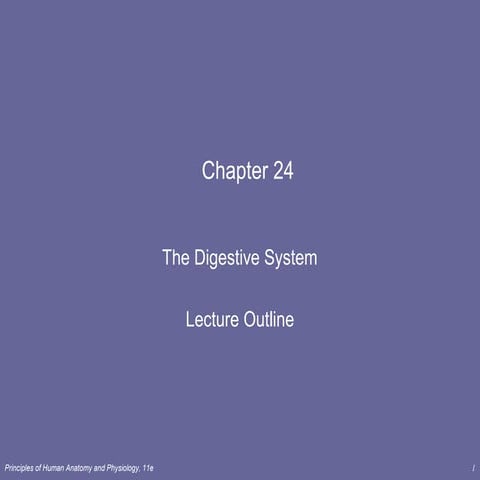 24 [chapter 24 the digestive system][11e] | PPT
