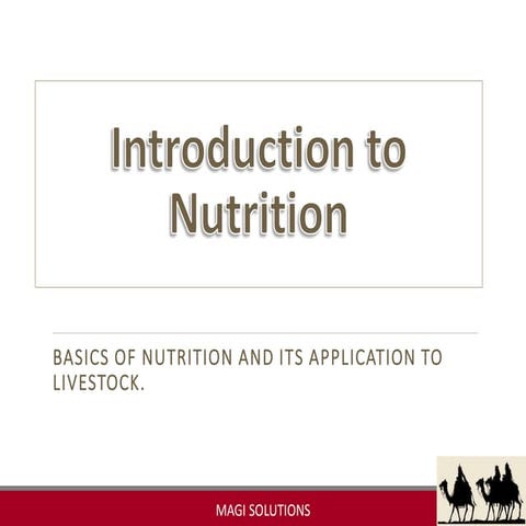 Animal Nutrition Introduction | PDF