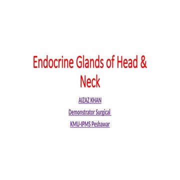 24 Endcrine Glands of Head ^0 Neck.pptx . . | PPTX