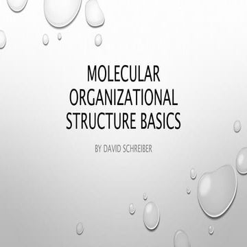 Molecular Organizational Structure Basics | PPT