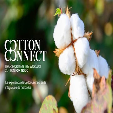 La experiencia de Cotton Connect en la integración de mercados – Julio ...