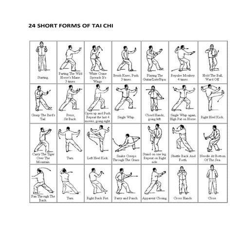 24 short forms of tai chi | PDF