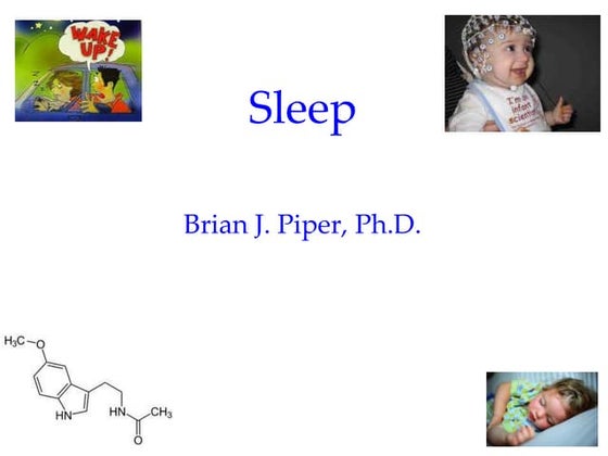 chapter5psychologyrelatedcontentforstudents | PPT