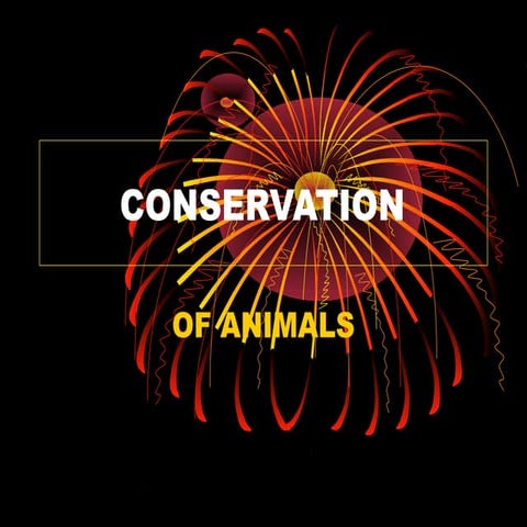 Assignment On Wildlife Conservation | PDF