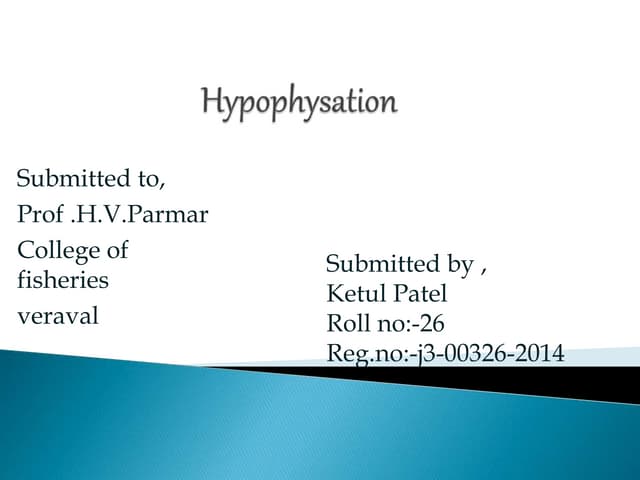 fish hatchery | PPTX