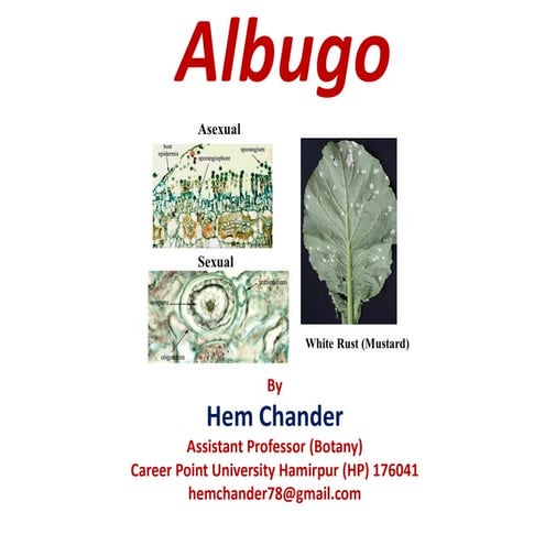 25. Albugo.pdf