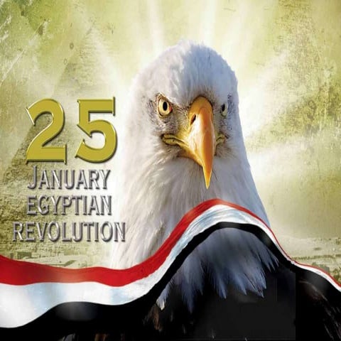 25 jan egyptian revolution from a marketing point of view | PPTX