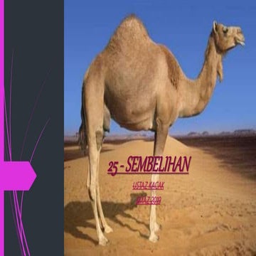 25 sembelihan | PPTX