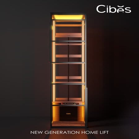 Pitless Home Lift – Discover Premium Voyager Models | PDF