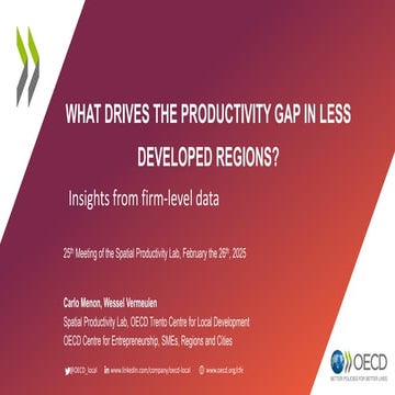 What explains the productivity gap of less developed regions? Carlo Menon | PDF