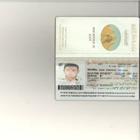 FIRST BAGE PASSPORT | PDF