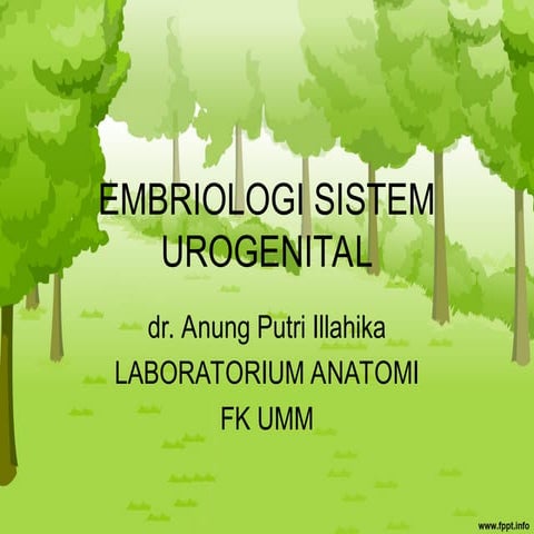 250387111-EMBRIOLOGI-SISTEM-UROGENITAL-2-ppt.ppt